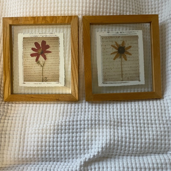 Art | Set Of Two Flower Pictures | Poshmark